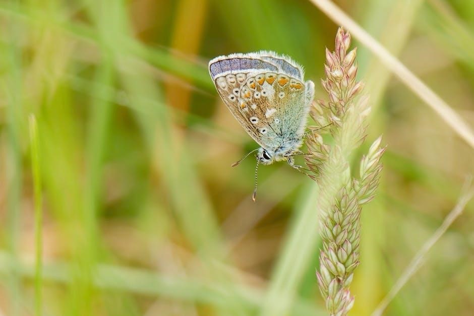 Chart Patterns PDF Guide - Master Trading Strategies